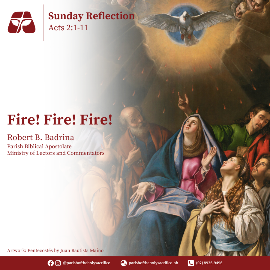 Jesus, the Bread of Life - Parish of the Holy Sacrifice